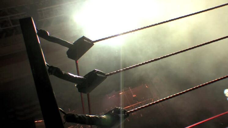 APC 21st Anniversary Show Results – January 12, 2025 | PWMania ...