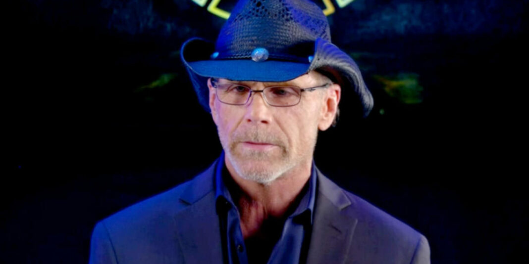 Clarification On Shawn Michaels "Liking" A Negative Stephanie McMahon ...