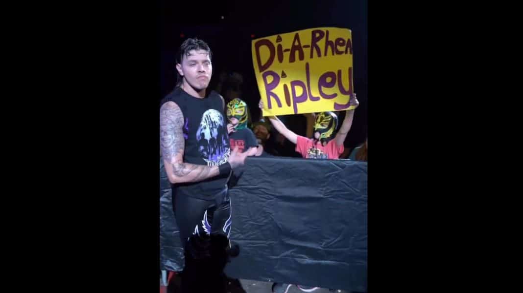 Dominik Mysterio Rips Up Fans Anti-Rhea Ripley Sign At WWE Live Event (Video) | PWMania ...