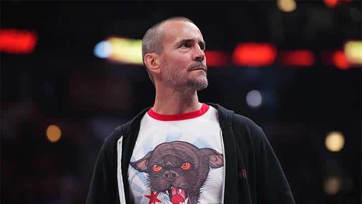 WWE Prepared Talent To Answer Questions About CM Punk At Fastlane Press ...