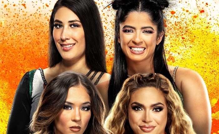 Women's Tag Bout Added To Post-GAB Edition Of WWE NXT | PWMania ...