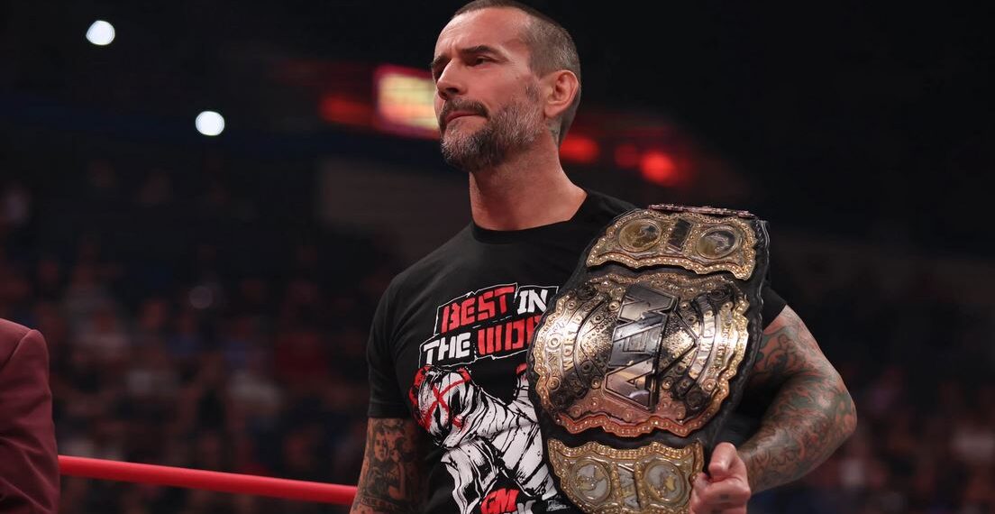 Speculation On One Of CM Punk's Instagram Stories Being A Shot At Matt ...