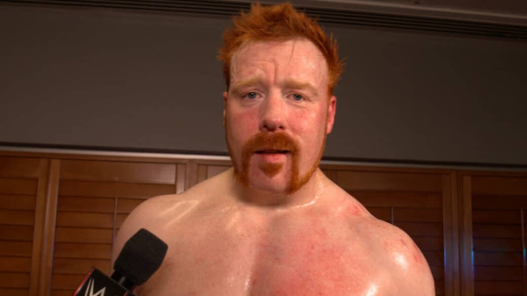 Sheamus On Why His WWE Theme “Written In My Face” Returned In 2024 ...