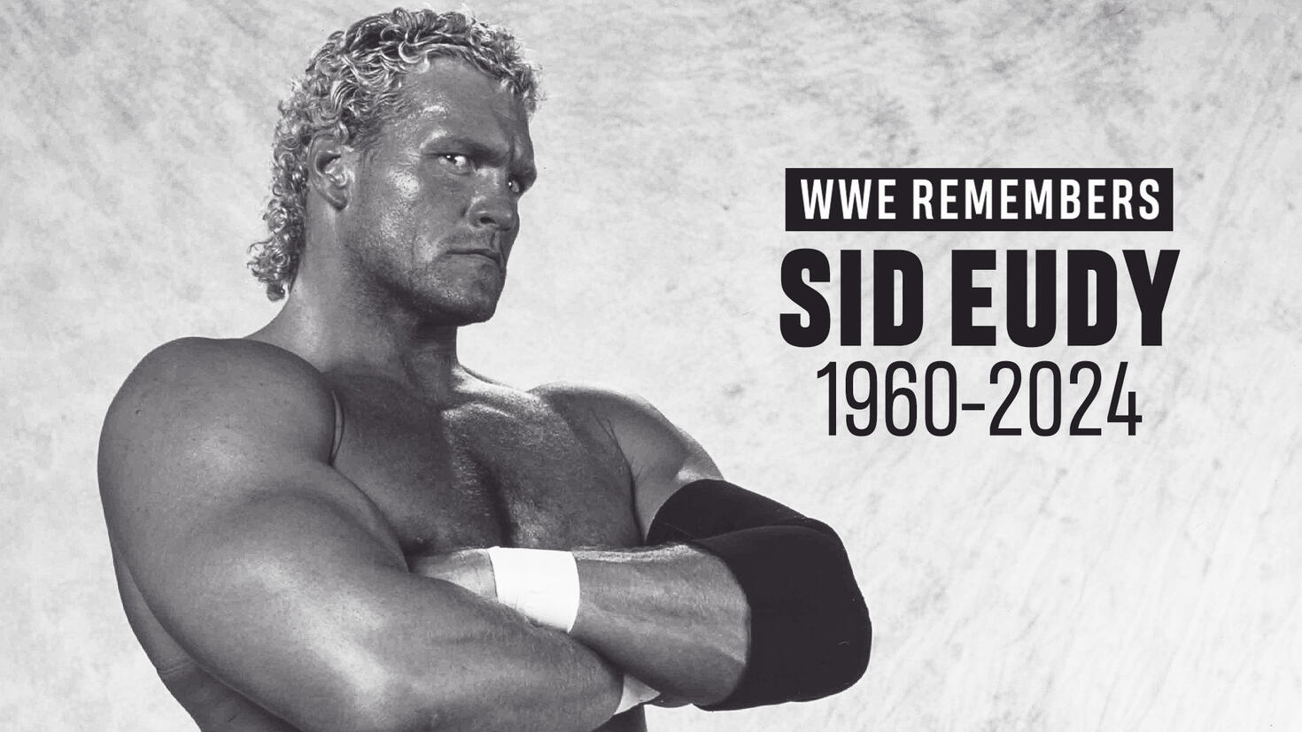 Looking At The Career Of Sid | PWMania - Wrestling News