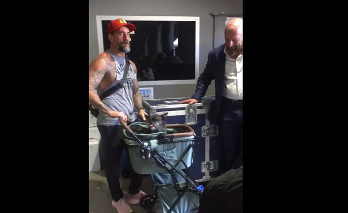 CM Punk's Dog Larry Featured In Special Video Released By WWE | PWMania ...