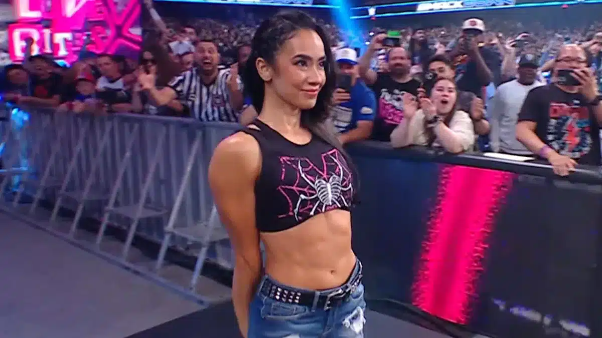 WWE Shop Drops New AJ Lee Merchandise Following SmackDown Return | PWMania - Wrestling News